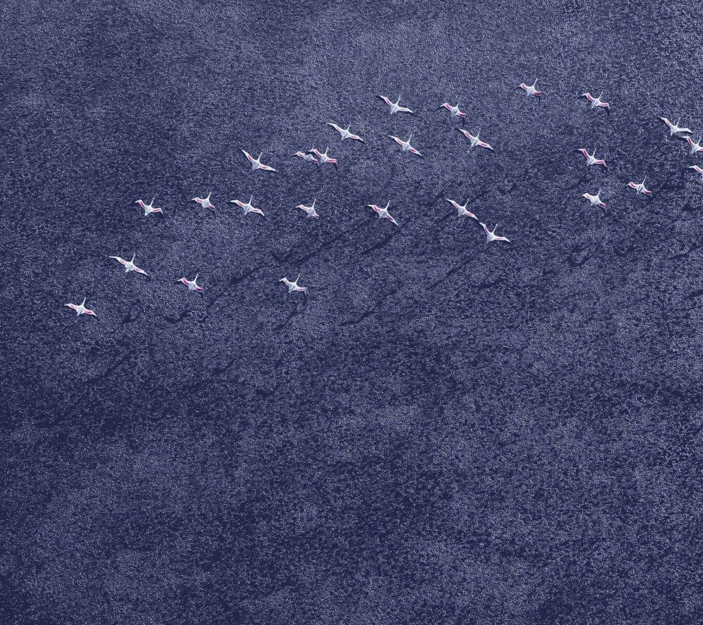 Download Google Pixel Stock Wallpapers